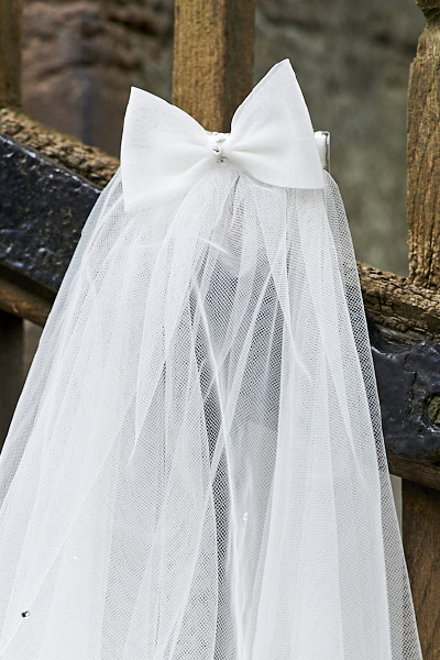 Girls First Holy Communion Veils | Veils for First Communions