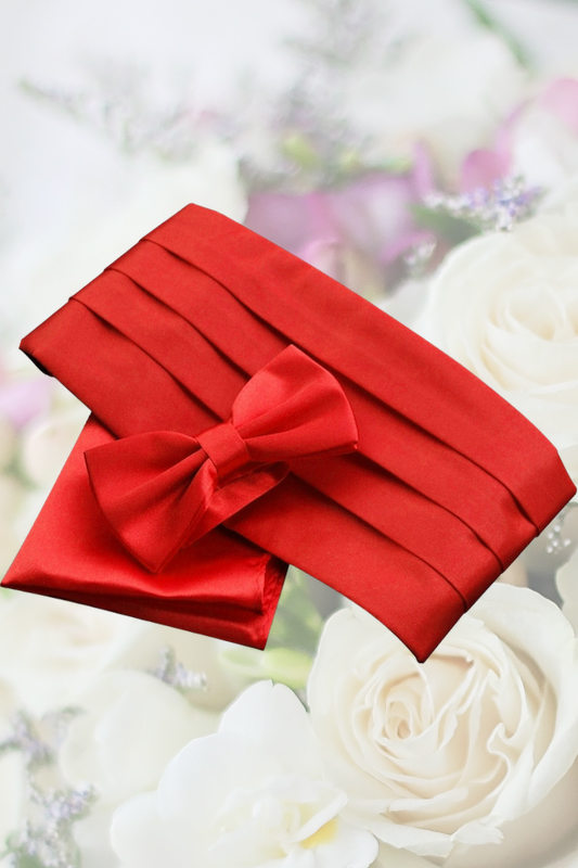 Older Boys Red Adjustable Cummerbund with Bow & Hankie | Charles Class
