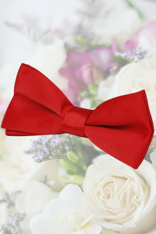 Boys Red Adjustable Matt Satin Dickie Bow | Red Bow Tie
